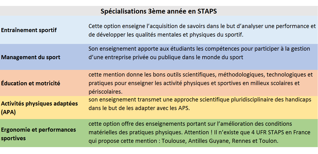 Licence STAPS : programme, conseils, quoi faire après